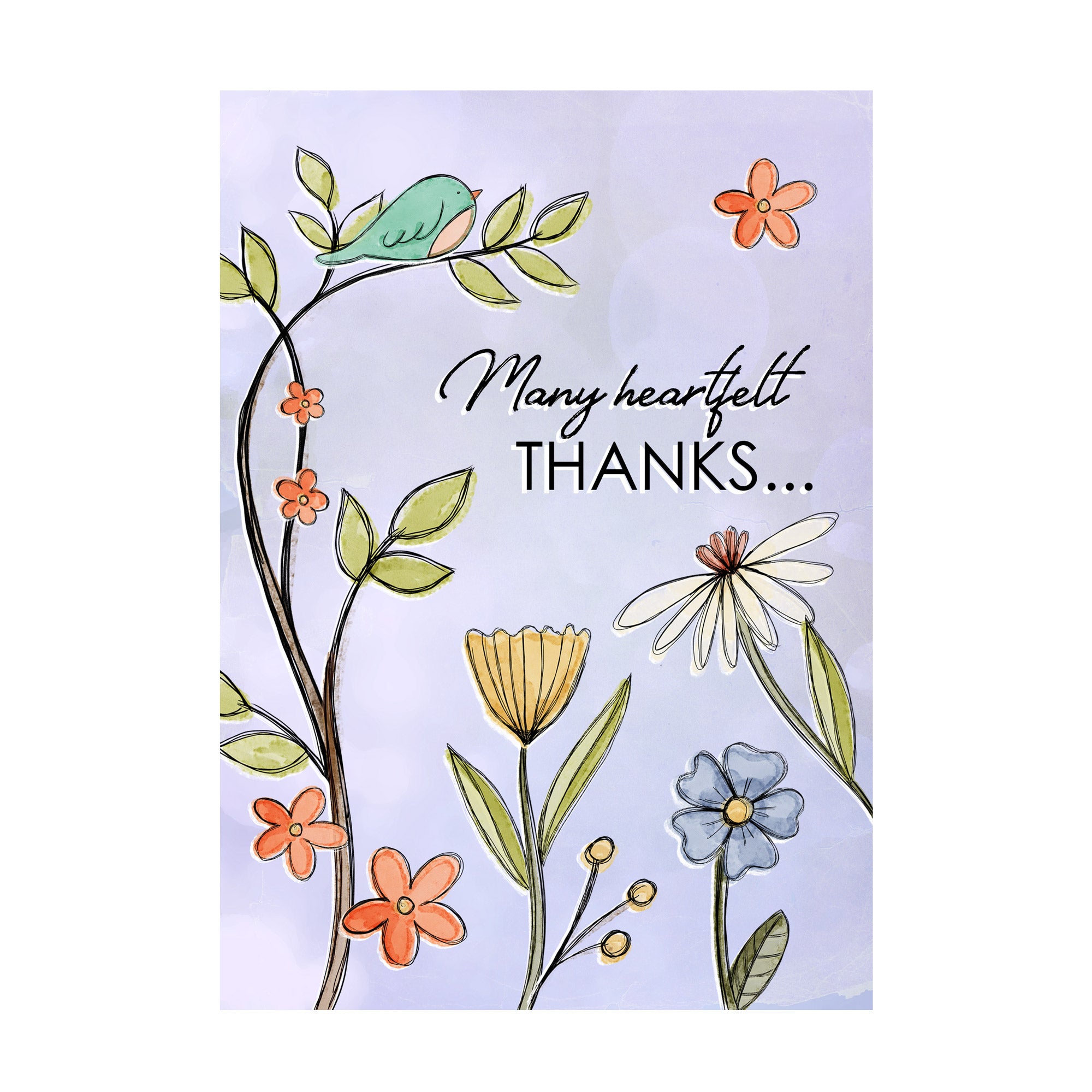 Single Card: Thank You, Heartfelt Thanks (Set of 6)
